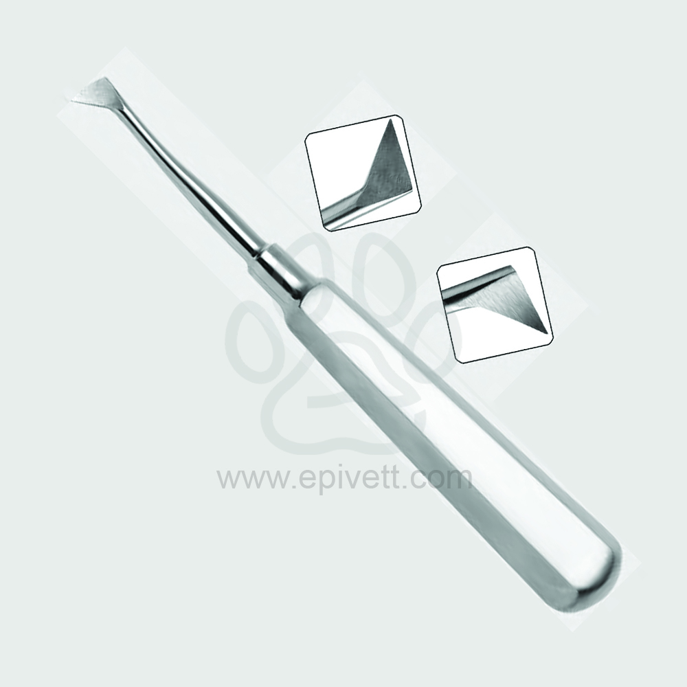 Cryer Elevator Left & Right Veterinary Dental Instrument Dentistry ...