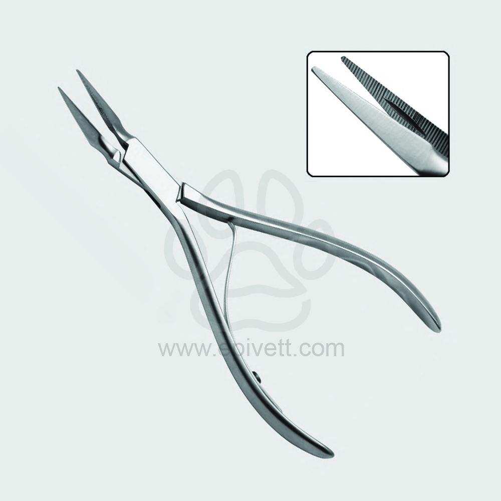 Dental Forceps Fragment 16.5 cm Veterinary Dental Instrument Dentistry ...