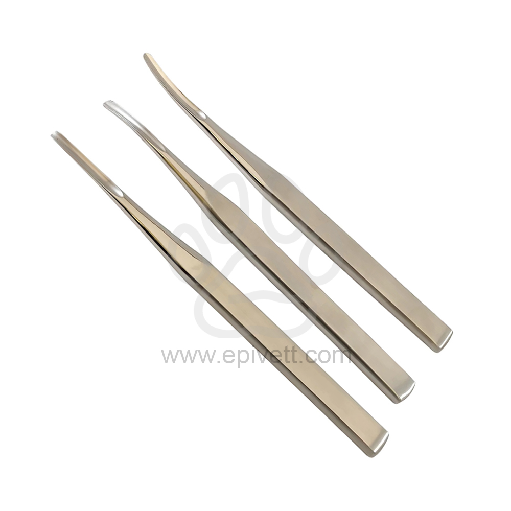 Equine Dental Extraction Elevator Stainless Steel Handle Set of 3 ...