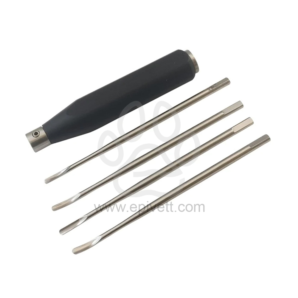 Equine Dental Extraction Elevators Teflon Handle Set of 4, Equine ...