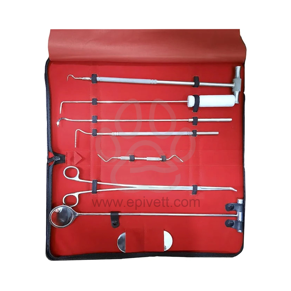 Equine Dental Set of 7 pieces, Equine Periodontal Instruments, Equine ...