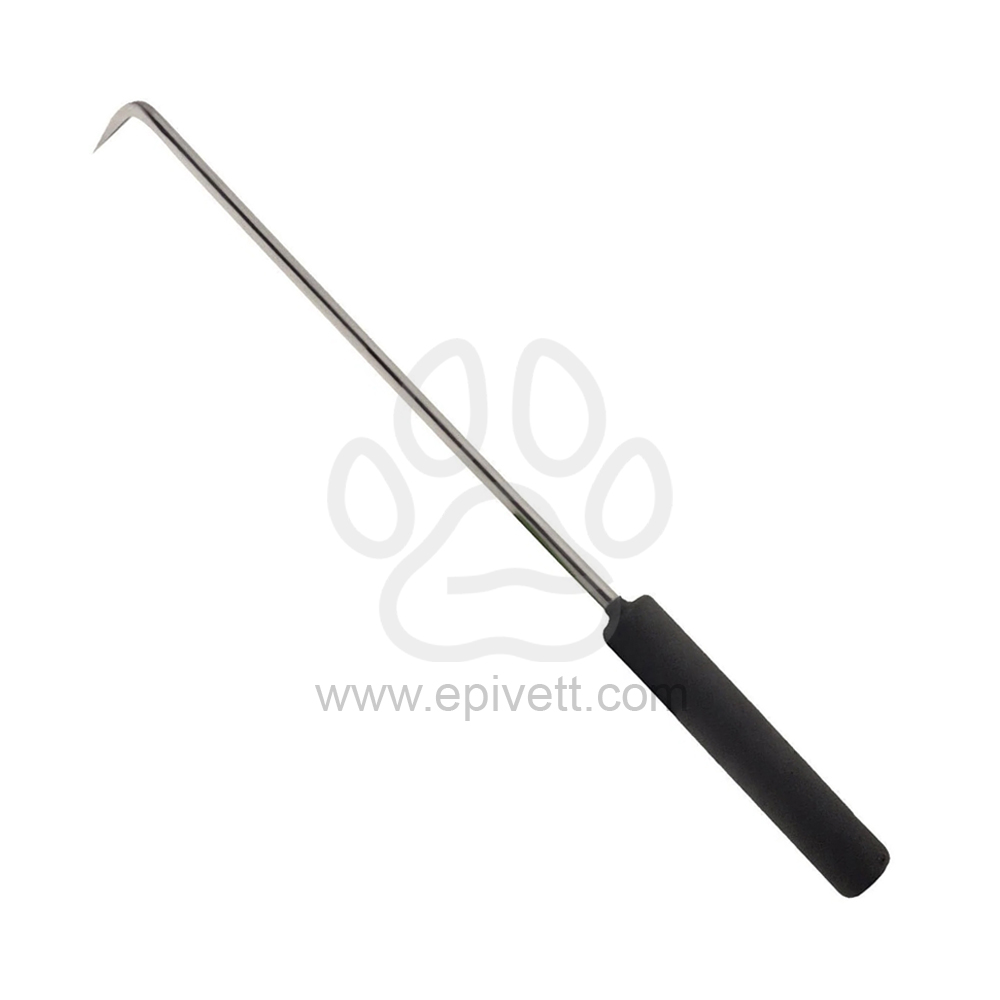 Equine Periodontal Elevator Pick, Equine Periodontal Instruments ...