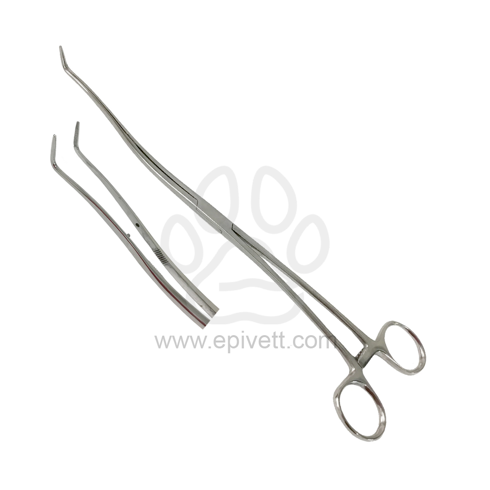 Equine Periodontal Forceps 41 cm, Equine Periodontal Instruments ...
