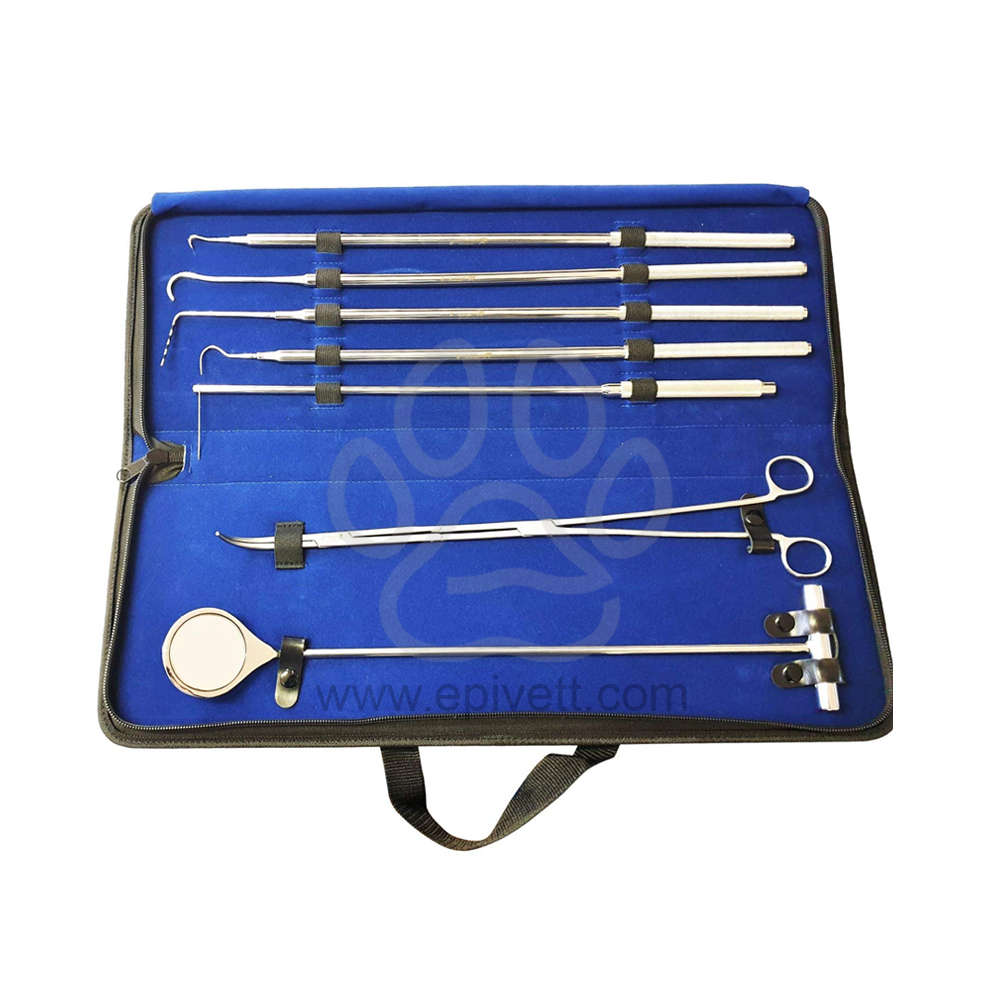 Equine Periodontal Instruments Set with Forceps, Equine Periodontal ...