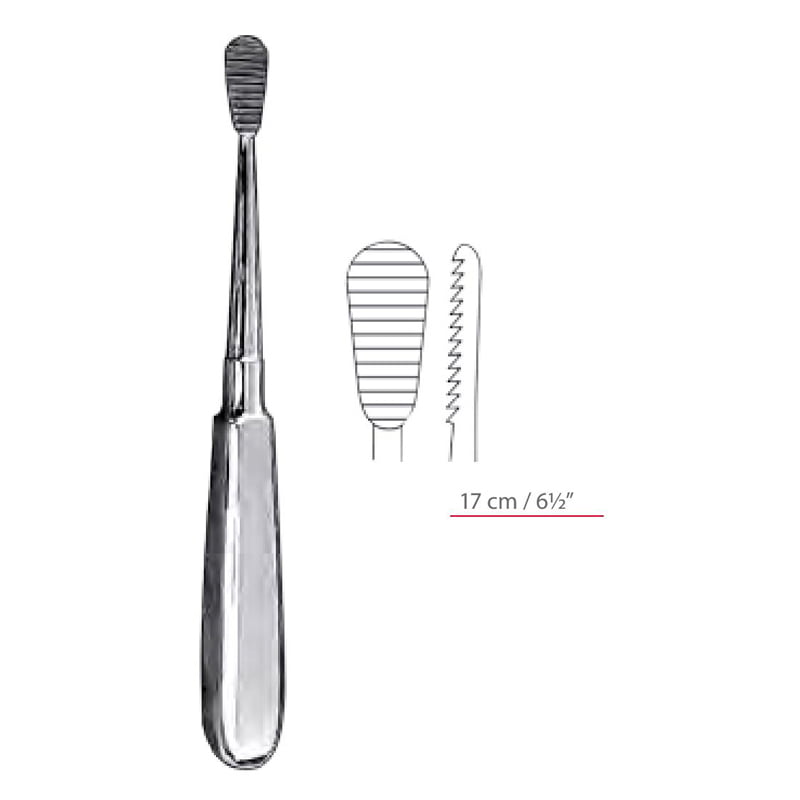 Excision Arthroplasty Rasp Bone File Orthopedic Surgical Instruments ...