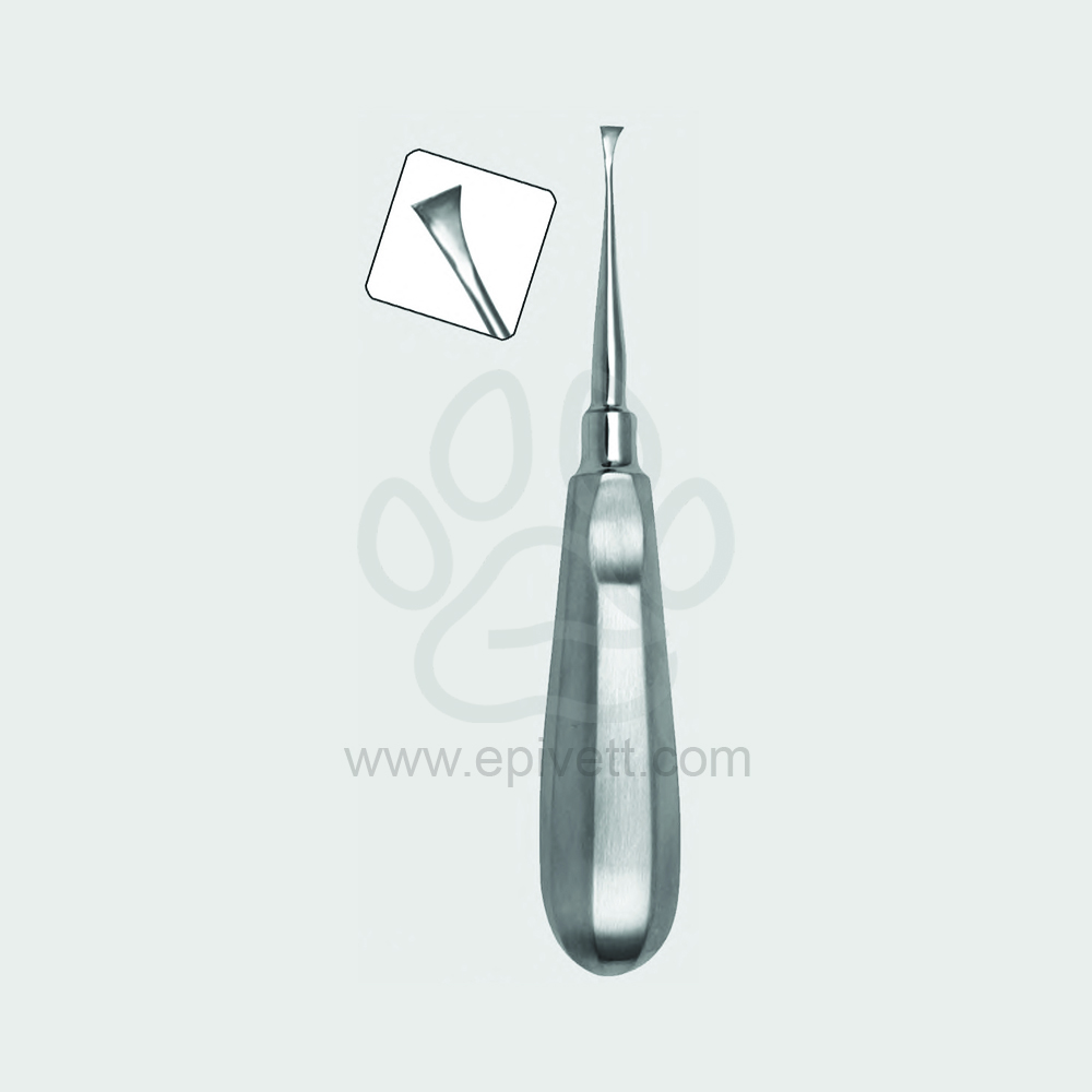 Periosteal Elevator Standard Handle Veterinary Dental Instrument ...