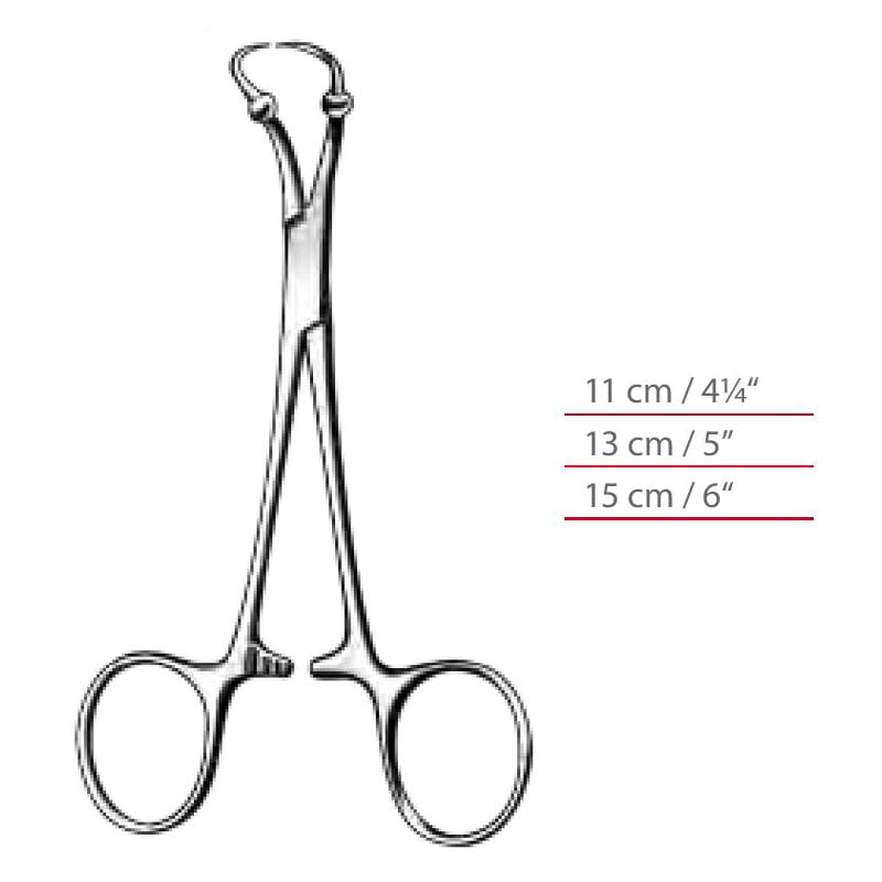 Roeder Hemostatic Towel Clamps Surgical Instruments Veterinary Tools ...