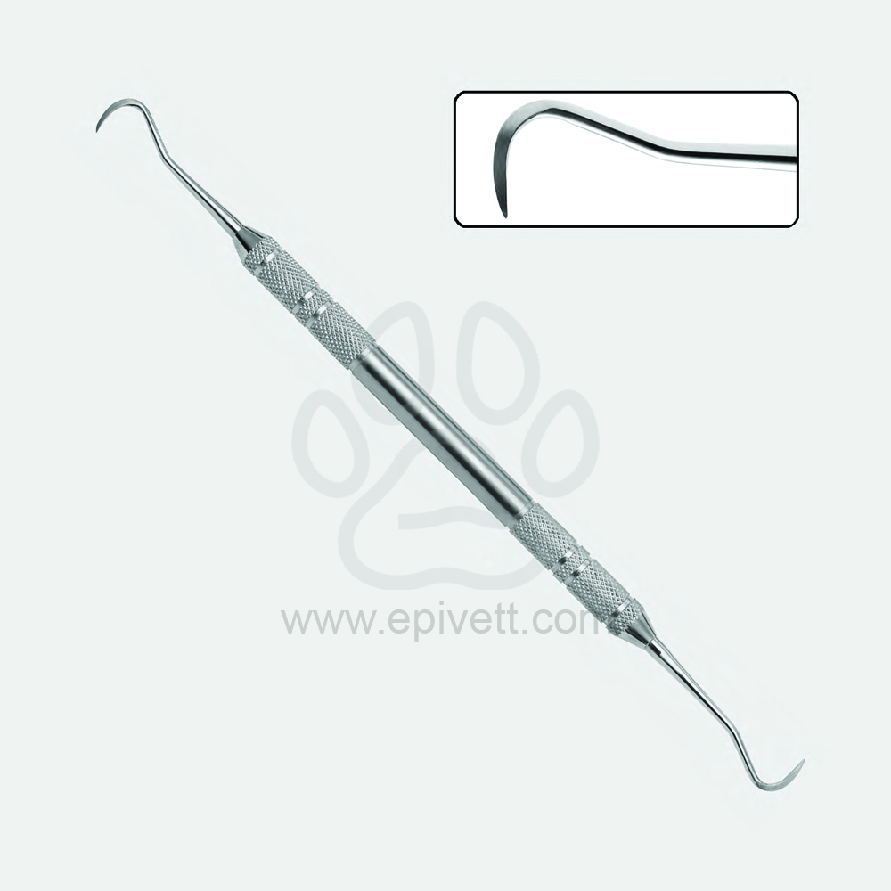 Sickle Scaler Normal Veterinary Dental Instrument Dentistry Tools ...