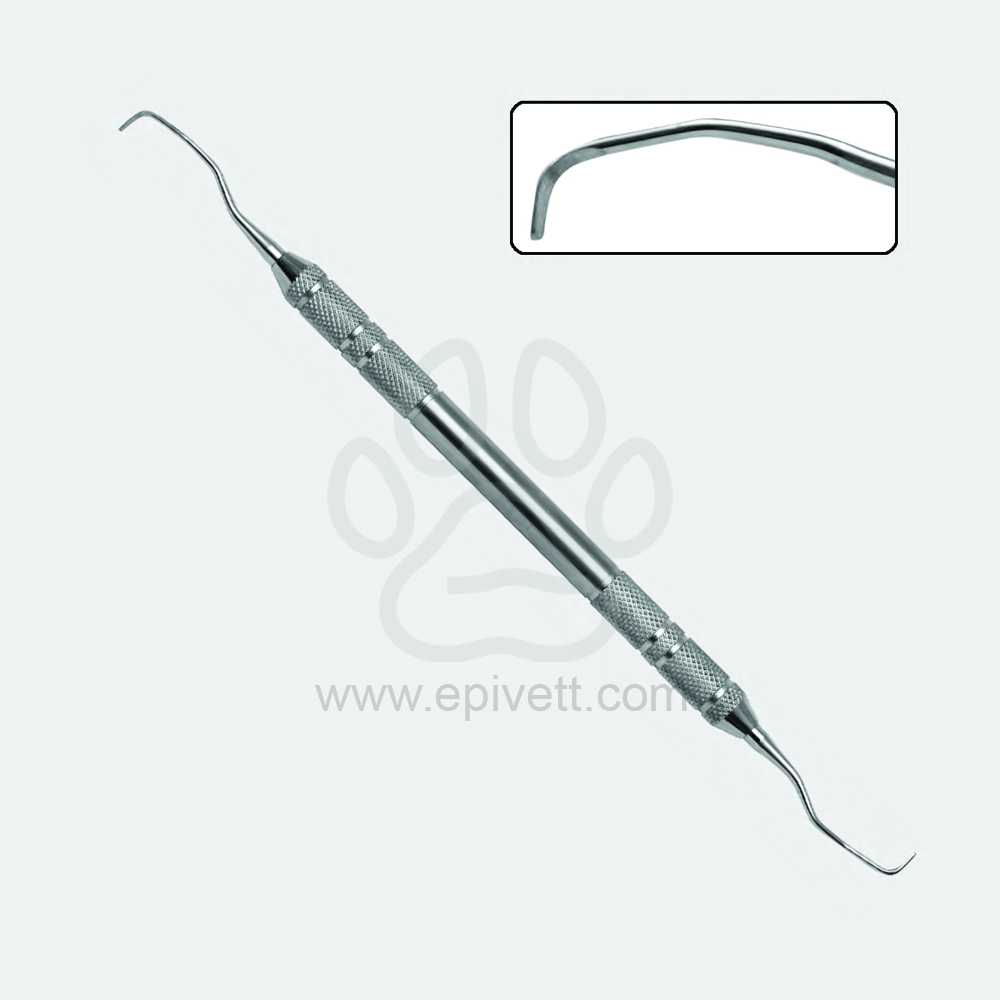 Subgingival Curette Veterinary Dental Instrument Dentistry Tools ...