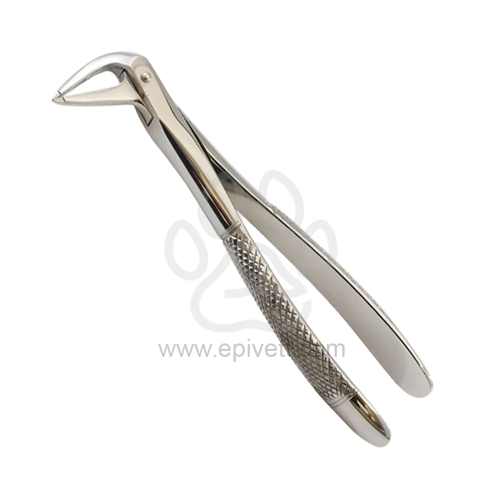 Universal Handy Extracting Forceps Beak Turned Head, Equine and ...
