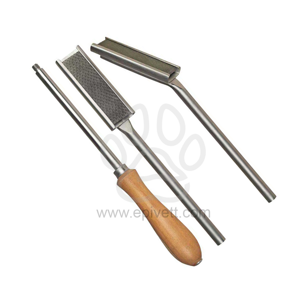 Dental Floats Stainless Medical Grade, Equine and Veterinary Dental ...