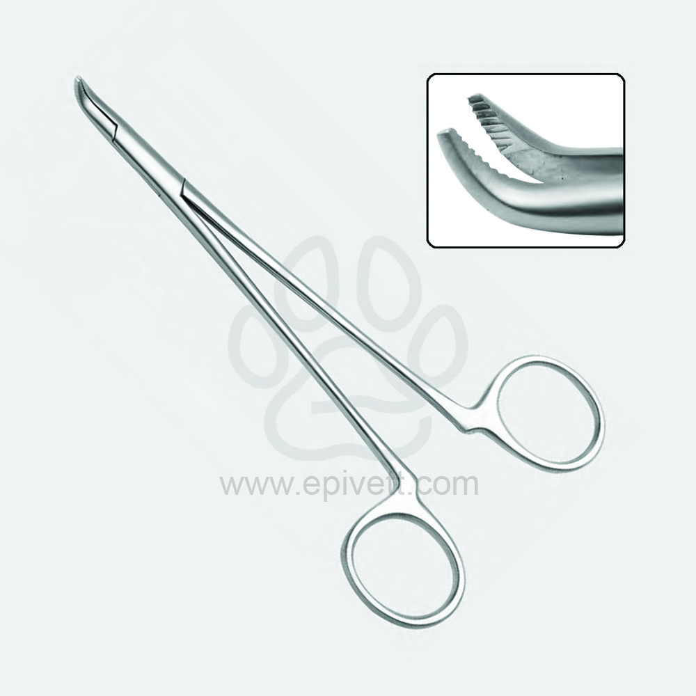 Molar Teeth (Cheek Teeth) Extraction Forceps for Rabbit Veterinary ...