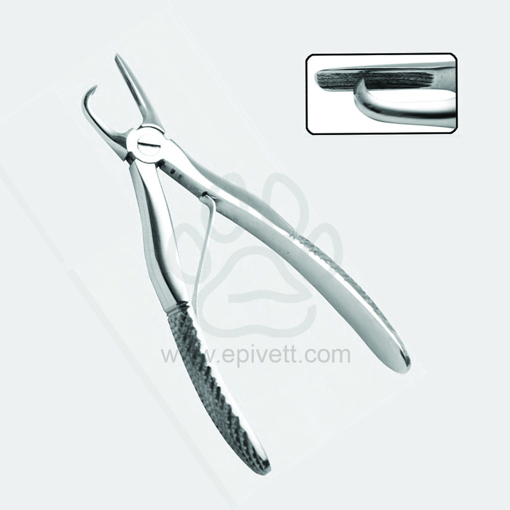 Tartar Removing Forceps Bent Jaws Veterinary Dental Instrument ...