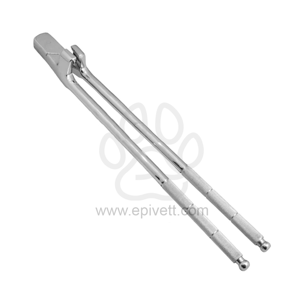 Premium Extraction Forceps with Fulcrum, Equine and Veterinary Dental ...