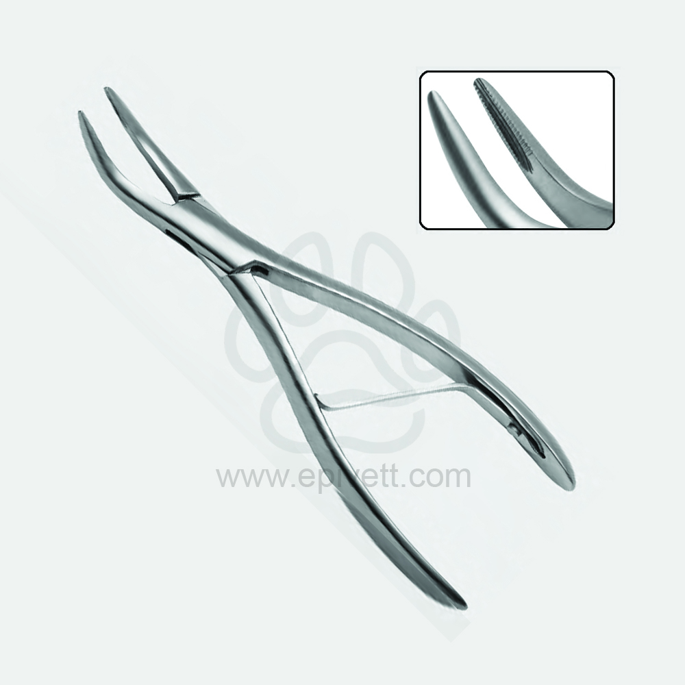 Root Tip Extraction Forceps 6" Veterinary Dental Instrument Dentistry ...