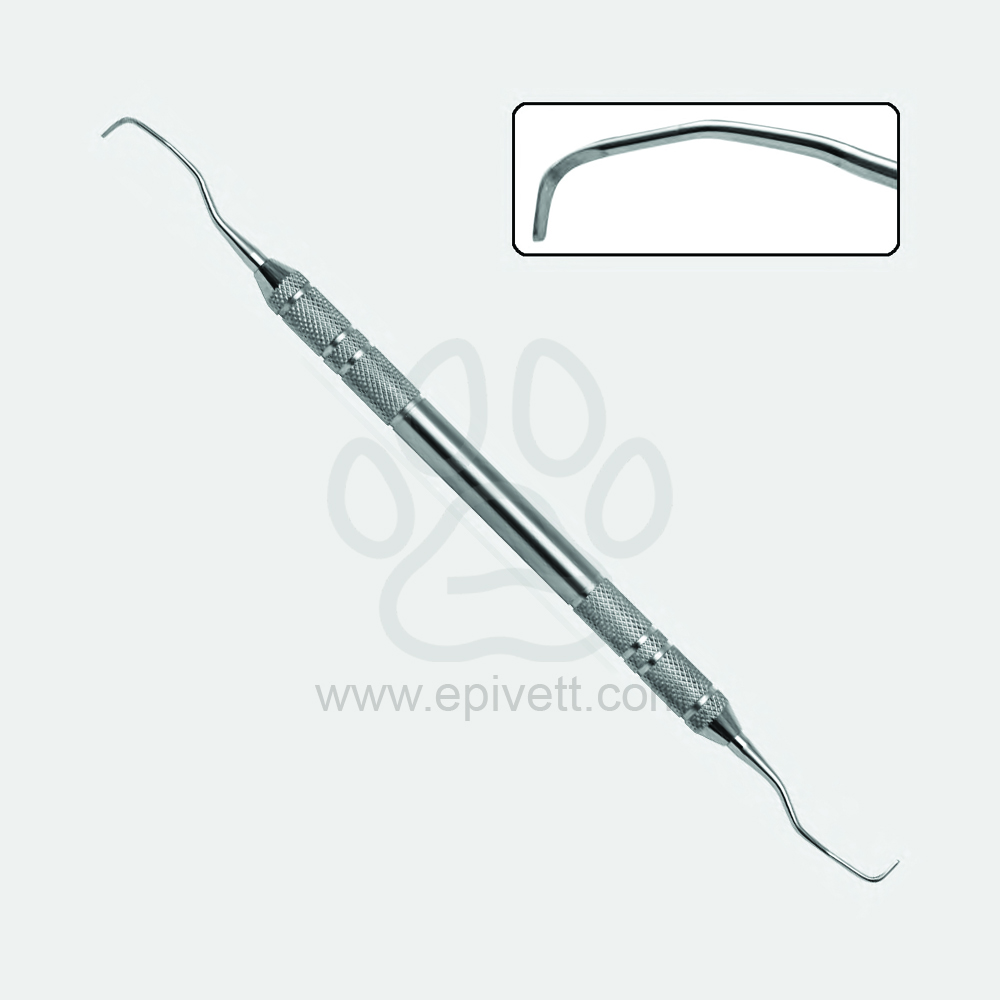 Subgingival Curette Shorter Point Veterinary Dental Instrument ...