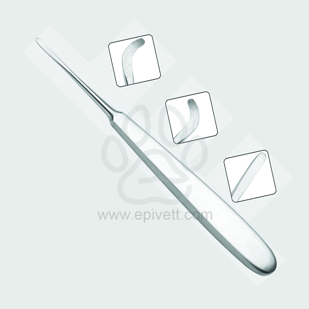 Warwick James Root Elevator Veterinary Dental Instrument Dentistry ...
